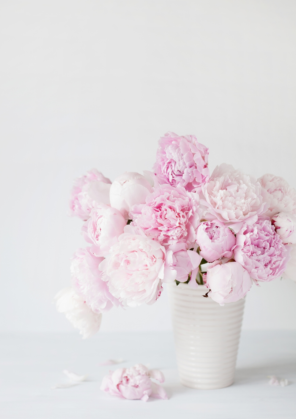 ABOUT | shinb‐身美‐（シンビ）｜橋本駅より徒歩3分 エステと整体のプライベートサロン